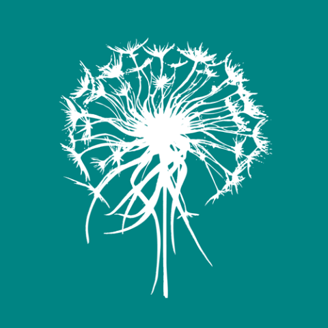 Access Consciousness - VitaSentis